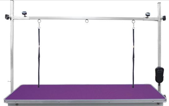 Electric Grooming Table - Regular